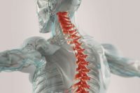 Soft Tissue Release - Manual Therapy Technique | Propel Physiotherapy