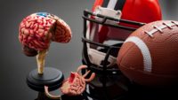 Focal Brain Injury: Causes, Symptoms, Treatment - Propel Physiotherapy