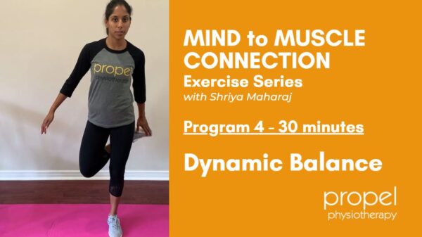 Dynamic Balance Exercise Program for Brain Injury Recovery